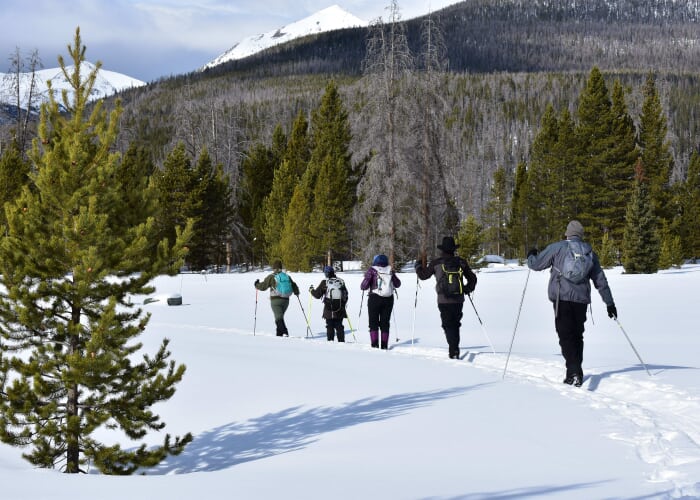 sid wells boulder co